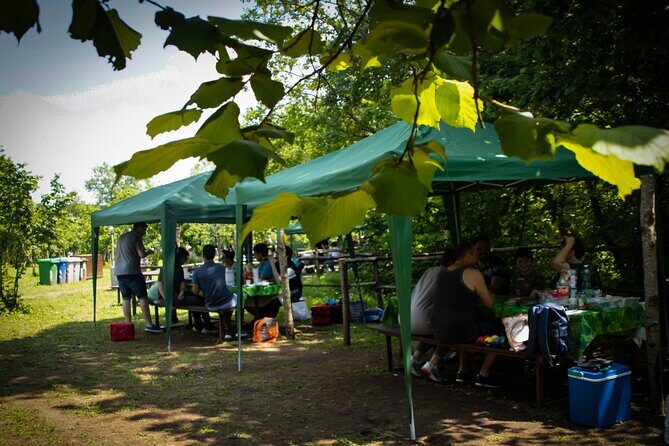 Picnic Area with Barbecue Equipment in Capranica (VT) - An In-Depth Look at the Picnic Area Experience