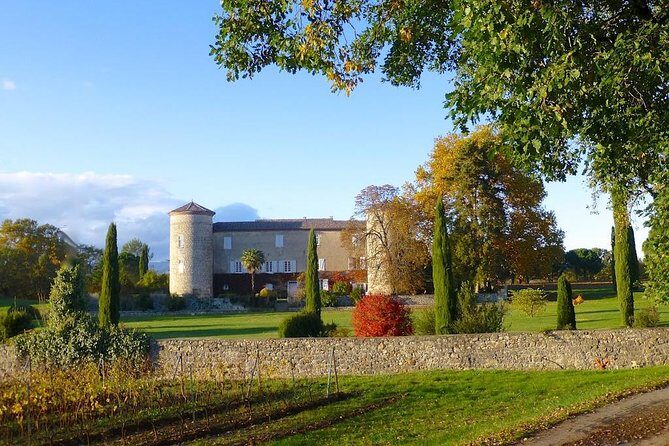 Picnic at the Château de la Selve! - An In-Depth Look at the Picnic Experience