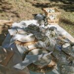 Picnics experience in Hungary - Detailed Breakdown of the Experience
