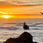 Picture your best SF tour ever! (Epic Bay Area photo adventures) - Why This Tour Works