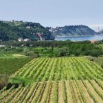 Piran: 5-Course Boutique Food Tour with Electric Bikes - How This Tour Fits in Your Slovenia Adventure