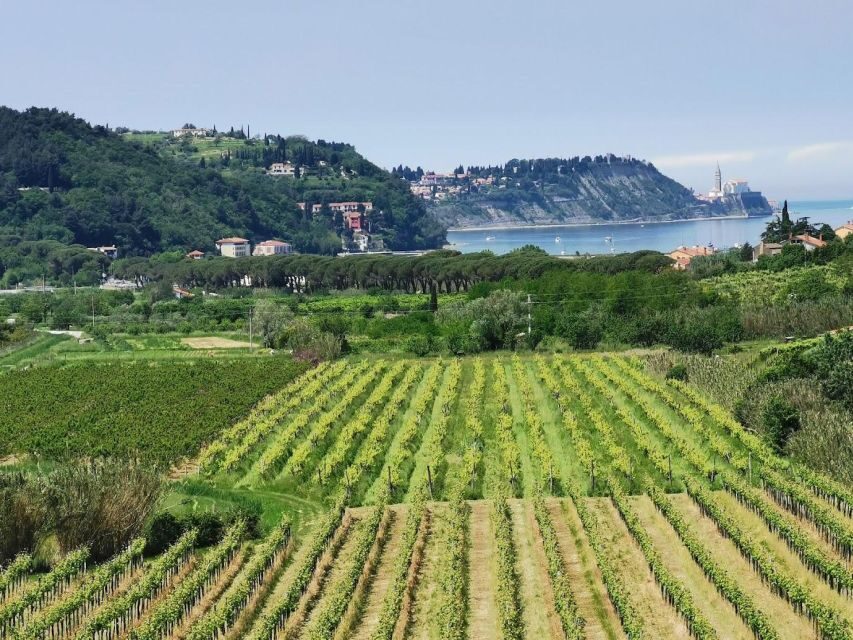 Piran: 5-Course Boutique Food Tour with Electric Bikes - How This Tour Fits in Your Slovenia Adventure