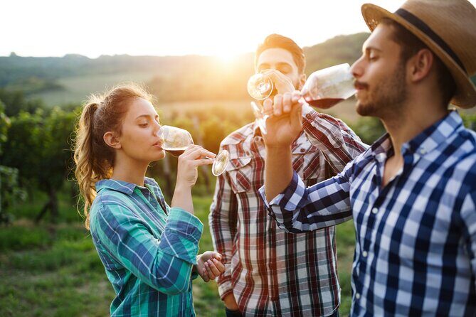Placer County Wine Tasting Pass - Customer Experience and Practicalities