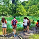 Plitvice Lakes Economy Group Tour from Split or Trogir - The Practicalities: What You Need to Know