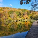 Plitvice: Plitvice Lakes Guided Tour with Boat Ride - Who Will Love This Tour?