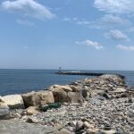 Plymouth half day private tour from Boston, groups 1-4 - Analyzing Value and Price