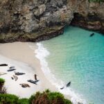 Point Lobos - A Private Charming Ocean Tour - The Pros of a Private, Self-Guided Tour