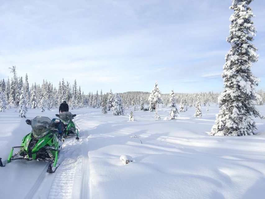 Polar Nature Tour on Snowmobile - Analyzing the Value: Price and Experience