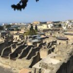 Pompeii-Herculaneum-Vesuvius tour from Sorrento with licensed guide included - Who Would Love This Tour?