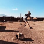 Pompeii Small Group with an Archaeologist and Skip The Line - The Itinerary in Detail