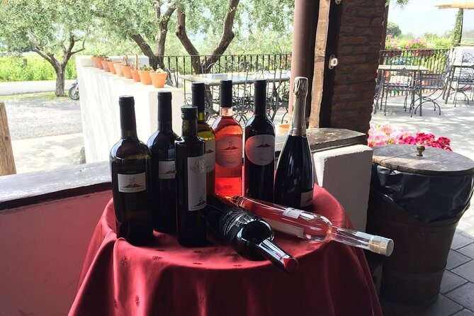 Pompeii-Vesuvius-Wine tour from Sorrento, licensed guide included - Practical Considerations and Value