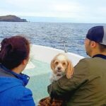 Ponta de São Lourenço Boat Tour - FAQ Section