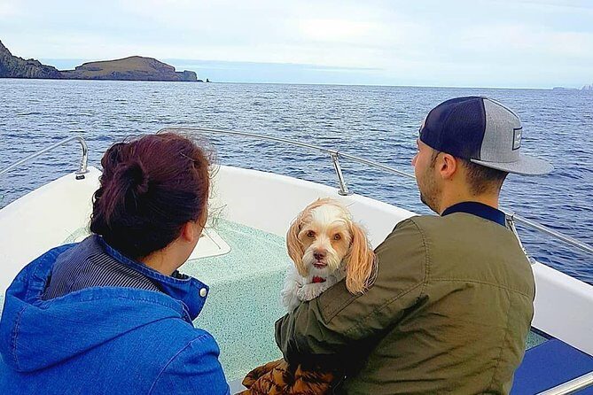 Ponta de São Lourenço Boat Tour - FAQ Section