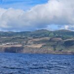 Ponta Delgada: 4-hour Half-Day Fishing Boat Trip Adventure - Scenic Coastline and Marine Wildlife