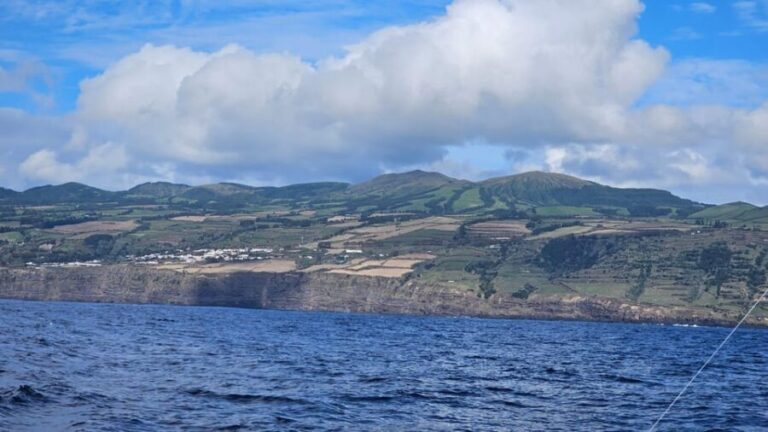 Ponta Delgada: 4-hour Half-Day Fishing Boat Trip Adventure - Scenic Coastline and Marine Wildlife