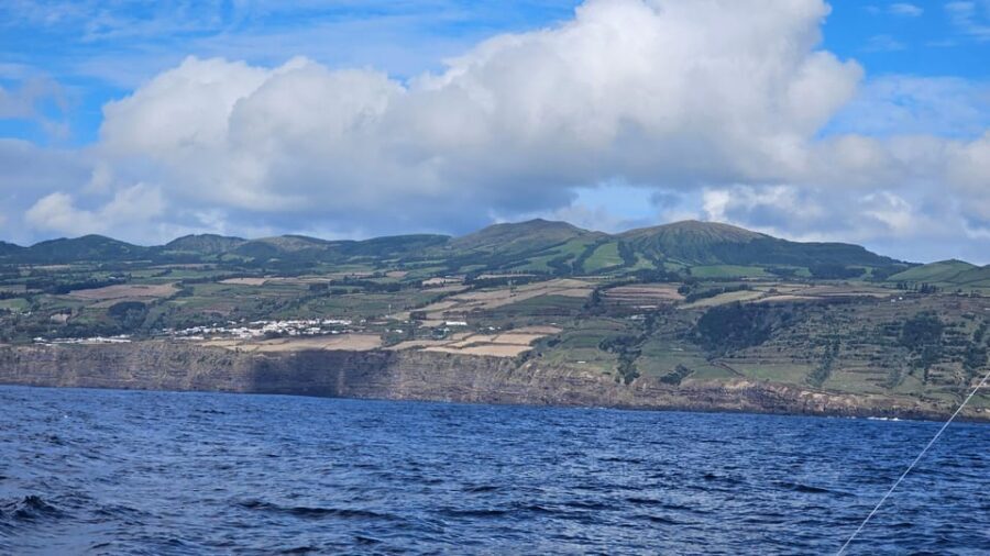Ponta Delgada: 4-hour Half-Day Fishing Boat Trip Adventure - Scenic Coastline and Marine Wildlife
