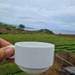 Ponta Delgada: Beauties of São Miguel Island Private Tour - An In-Depth Look at the Tour Experience