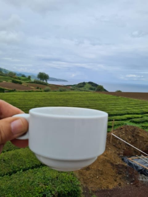 Ponta Delgada: Beauties of São Miguel Island Private Tour - An In-Depth Look at the Tour Experience