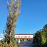 Ponta Delgada: Seven Cities & Furnas Volcano Shore Excursion Tour - Who Should Book This Tour?