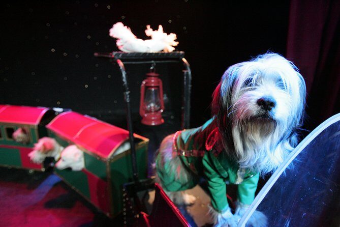 Popovich Comedy Pet Theater at Planet Hollywood Resort and Casino - What to Expect During Your Visit