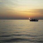 Pore: Sunset Dolphin Safari Cruise with Drinks - Analyzing the Value