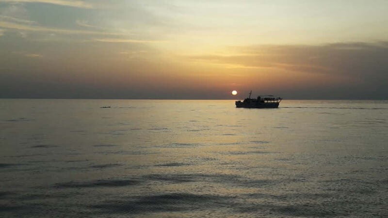 Pore: Sunset Dolphin Safari Cruise with Drinks - Analyzing the Value