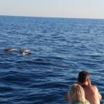 Pore: Sunset Dolphin Safari with Dinner and Drinks - The Itinerary: A Step-by-Step Breakdown