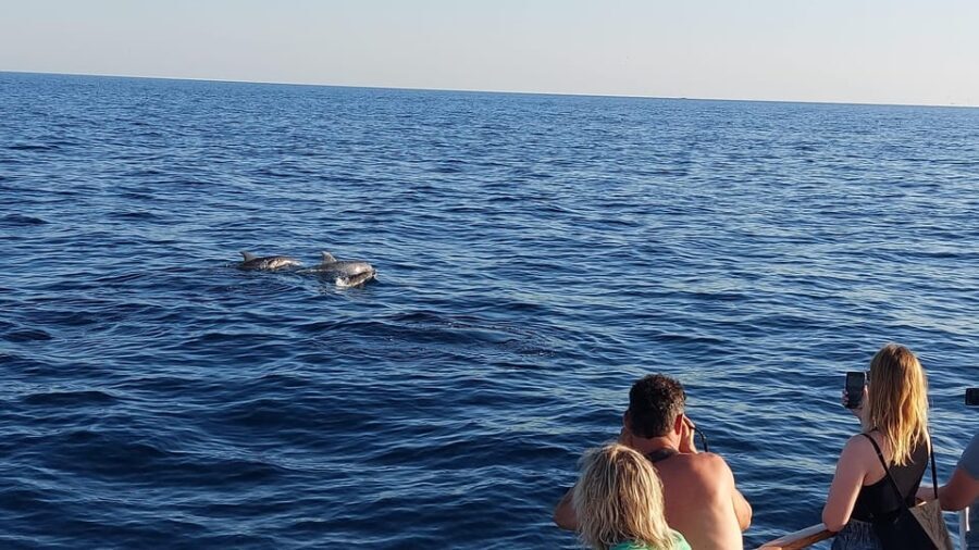 Pore: Sunset Dolphin Safari with Dinner and Drinks - The Itinerary: A Step-by-Step Breakdown