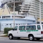 Port Canaveral/Cape Canaveral/Cocoa Beach to MCO airport/hotel (One Way Private) - Practical Details for Your Trip