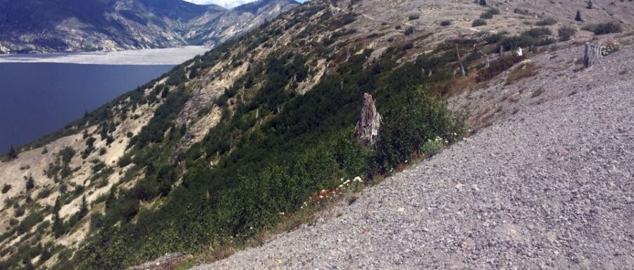 Portland: The Mt. St. Helens Adventure Tour - What To Expect from the Day
