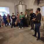 Porto: Port and Douro Wine Walking Tour with Tastings - Who Will Appreciate This Tour?