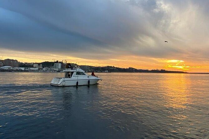 Porto: Private 6 bridges tour, Douro river with sunset option - Highlights of the Stops