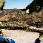 Porto: Private Douro Valley 4x4 Tour with Lunch - Why This Tour Stands Out