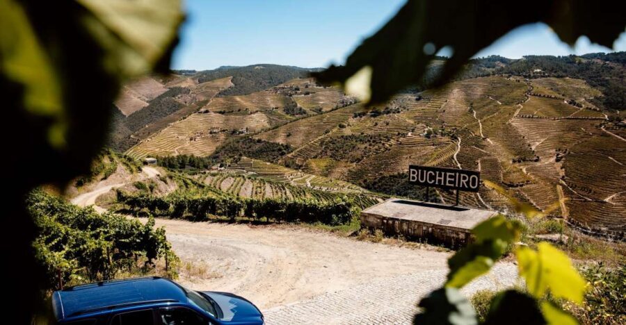 Porto: Private Douro Valley 4x4 Tour with Lunch - Why This Tour Stands Out