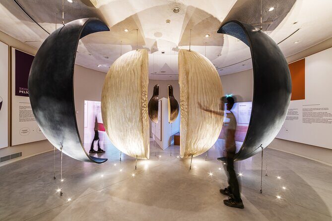 Porto: Wine Experience Musem with 3 Wine Tastings - The Authentic Experience and Why Its Worth It