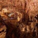 Postojna Cave & Predjama Castle - Shore Excursion from Koper - What Makes This Tour Special?