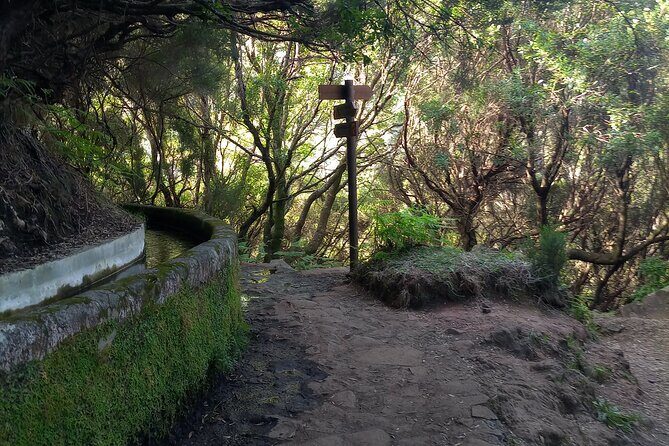 PR6 25 Fountains/Risco Levada Walk - FAQ