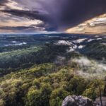 Prague: Discover BohemiaTisa Rocks, Bastei & Brewery Tour - What to Expect: An Overview of the Day