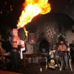 Prague: Dtenice Castle, Brewery, and Medieval Fantasy Show - A Full Breakdown of the Dtenice Experience