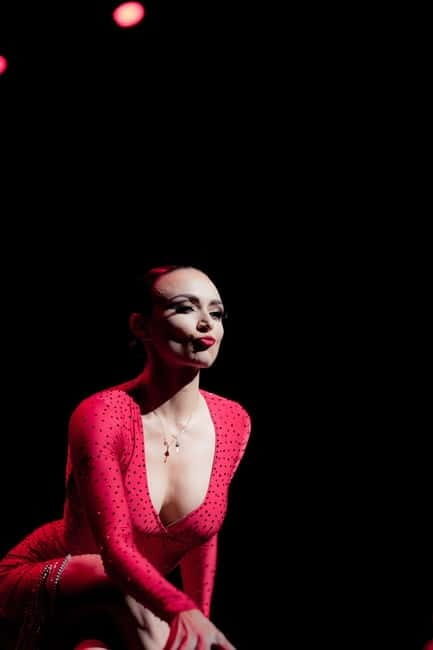 Prague: Once Again: Charles Aznavour Ballet Show Tickets - Value and Consideration