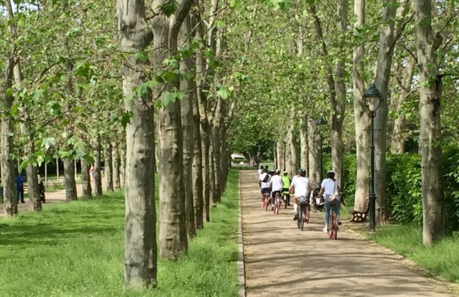 Prague: Stunning Viewpoints, Castle, City & Park E-Bike Tour - Authentic Perspectives from Travelers