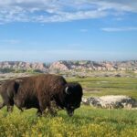 Premiere Private Badlands Day Tour - Transport, Comfort, and Flexibility