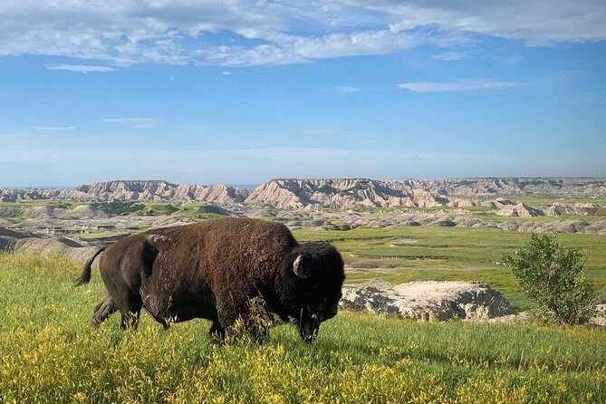 Premiere Private Badlands Day Tour - Transport, Comfort, and Flexibility