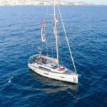 Premium All Inclusive Whale & Dolphin Watching Experience - Why This Whale & Dolphin Tour Stands Out