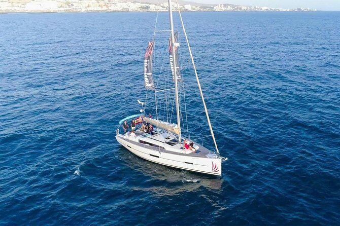 Premium All Inclusive Whale & Dolphin Watching Experience - Why This Whale & Dolphin Tour Stands Out