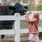 Premium Amish Country Tour including Amish Farm and House - Who Will Love This Tour?