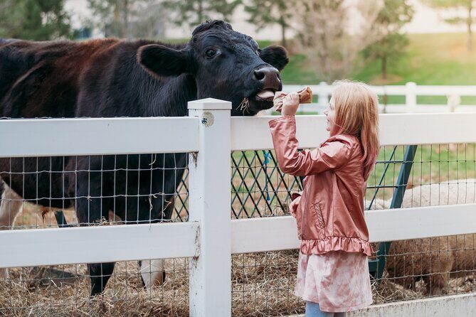 Premium Amish Country Tour including Amish Farm and House - Who Will Love This Tour?