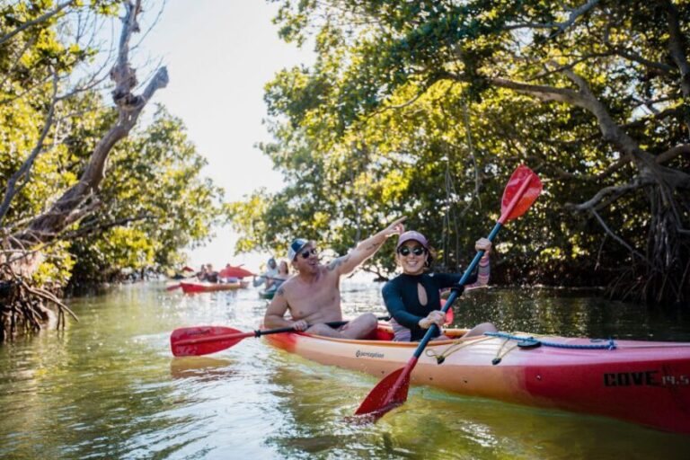 Premium Day Sail, Snorkel &, Kayak with Lunch - The Water Activities: Snorkeling and Kayaking