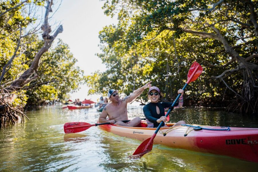 Premium Day Sail, Snorkel &, Kayak with Lunch - The Water Activities: Snorkeling and Kayaking