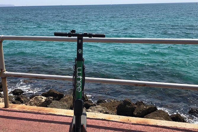 Premium electric Scooter rental with optional delivery - Breaking Down the Experience